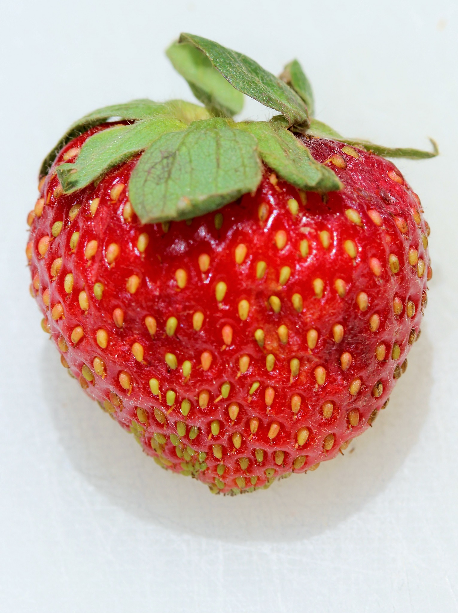 Strawberry – Bill and Paul's Excellent Photograph-a-Week Adventure